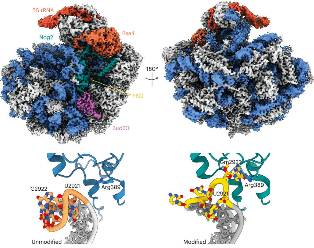 Publications – Taylor Lab